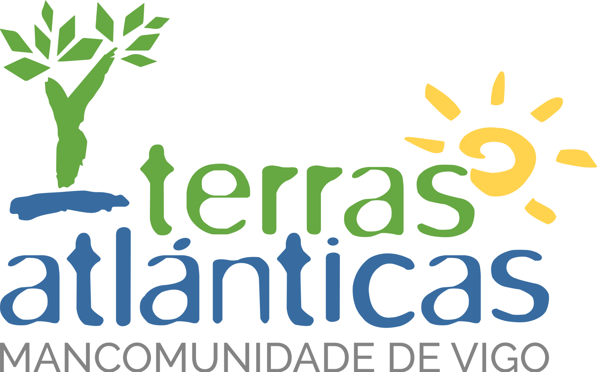 Concierto de la "Banda Cultural de Salceda" 2025 - Terras Atlánticas